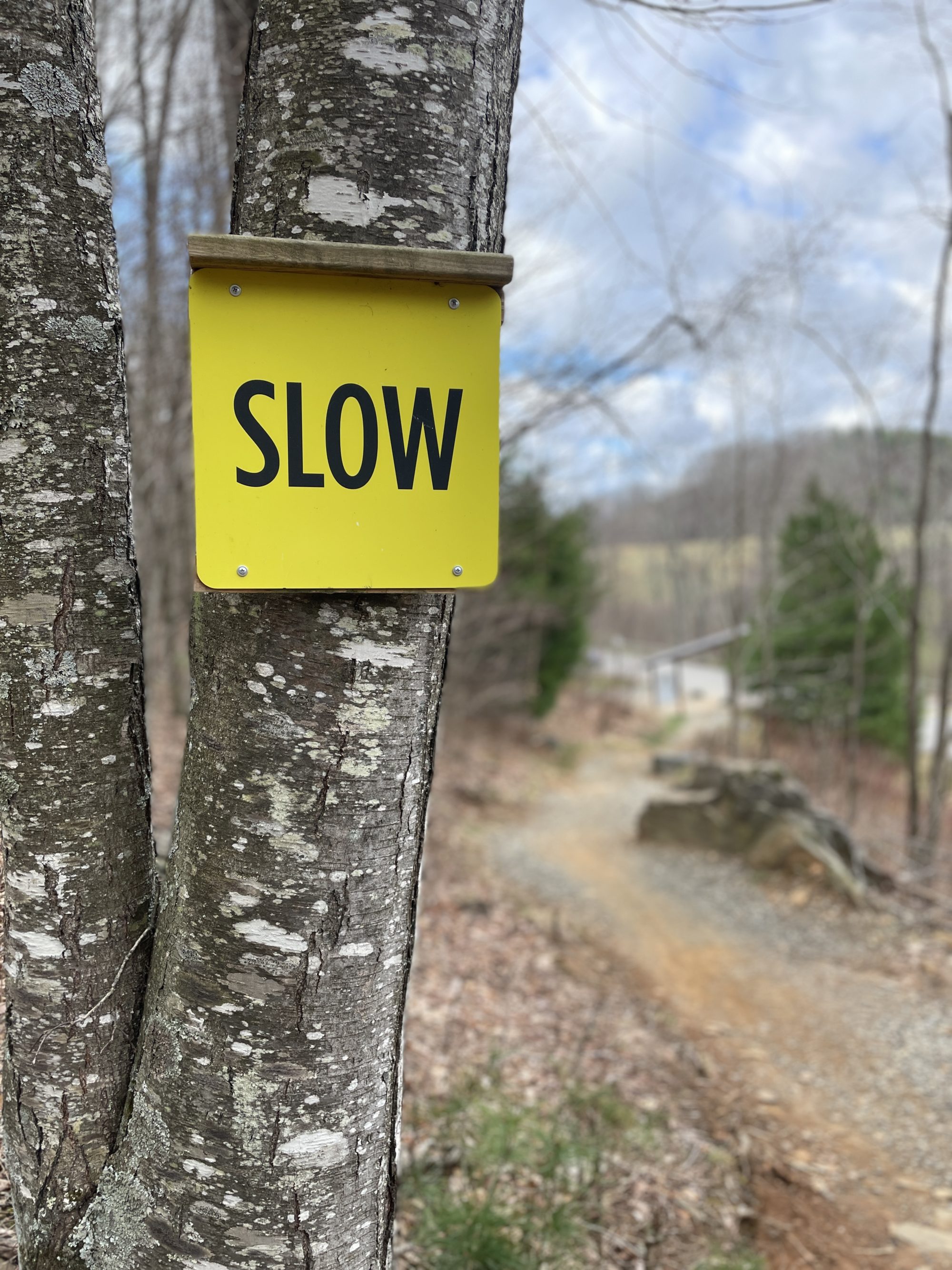 Slow is Beautiful - J. Robin Whitley